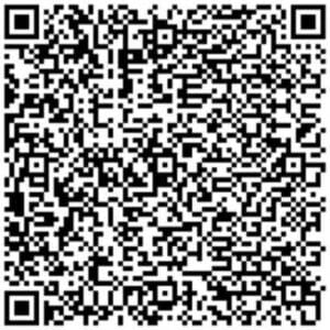 Second Chance Sanctuary India | Dog Rescue, Rehabilitation & Adoption